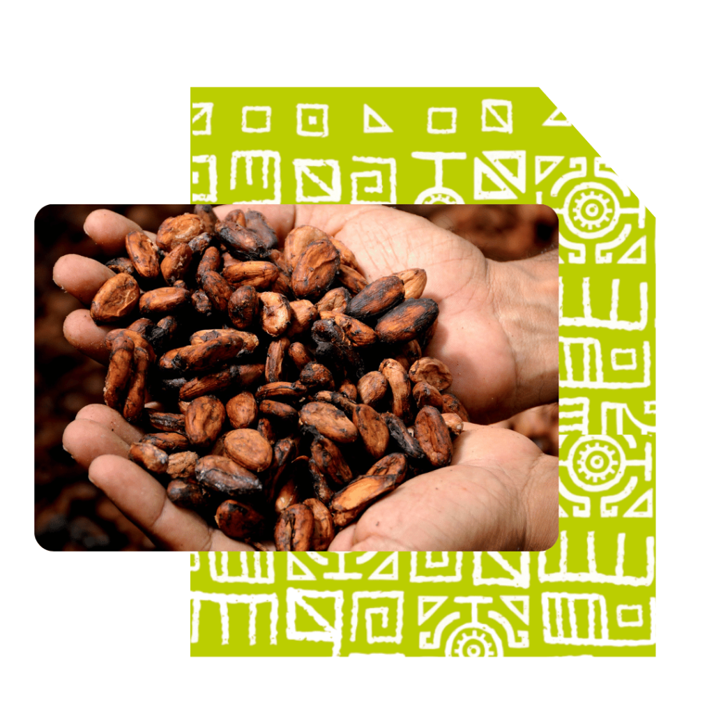 About Us – Incakao